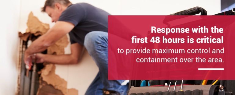 Emergency Debris Removal | Expert Restoration Services