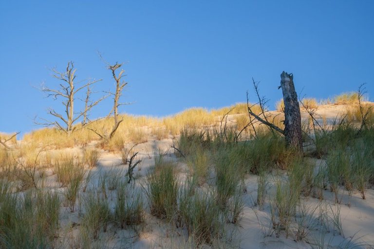 Homepage - UnlimitedRestoration