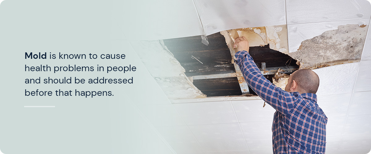 Roof Leak Repair for Water-Damaged Ceilings | URI