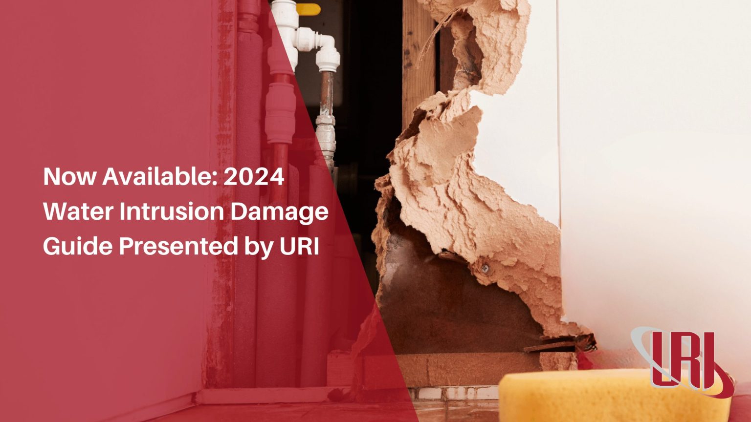2024 Water Intrusion Damage Guide Presented by URI - UnlimitedRestoration