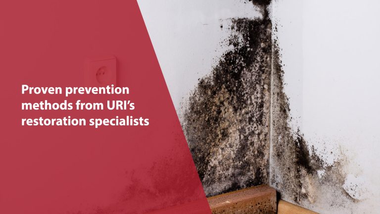 Mold Prevention Tips from URI | Proactive Property Protection | Blog